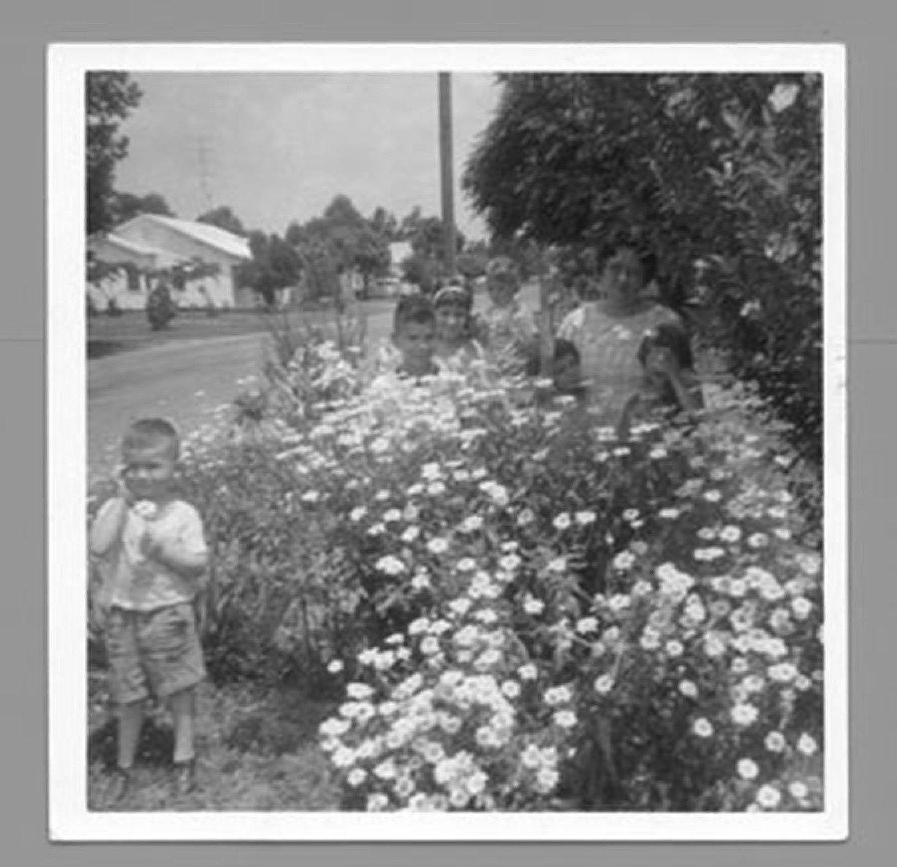 Family Album – (Parenthetically) Speaking